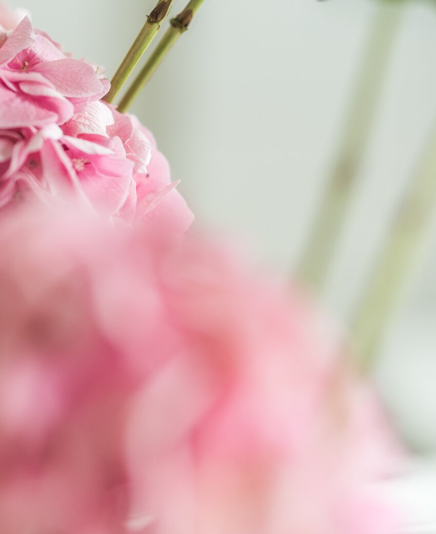 Stornobedingungen | Hotel Deimann